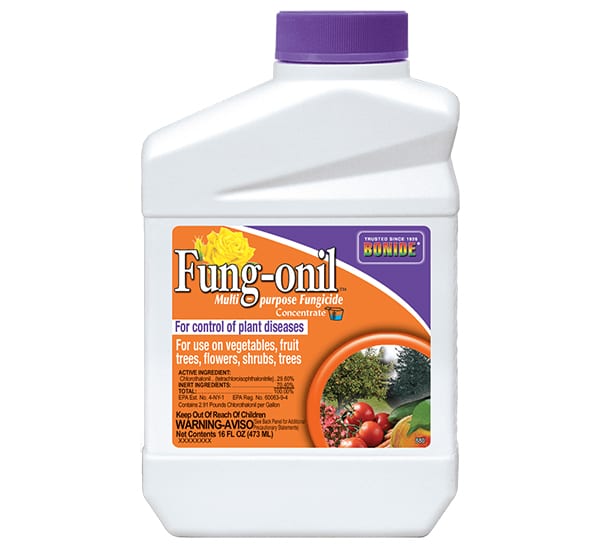 Bonide® Fung-onil™ Multi-purpose Fungicide Concentrate – Calloway's Nursery
