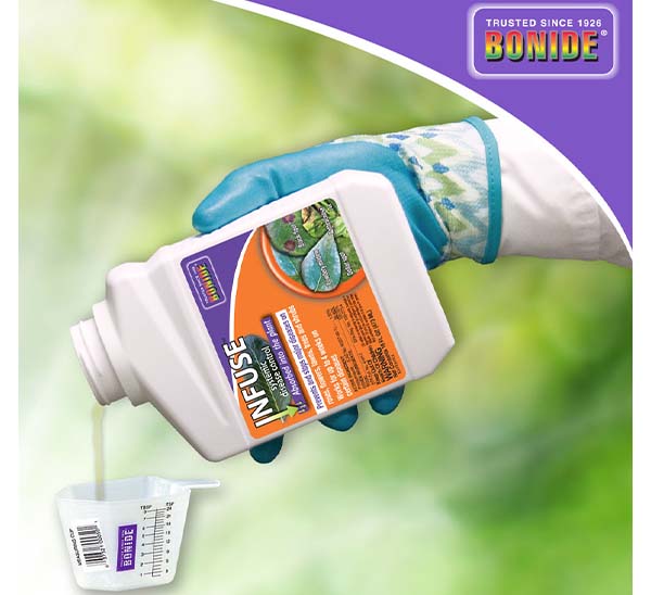 Bonide® Infuse™ Systemic Disease Control | Calloway's Nursery