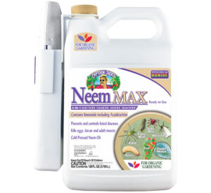 Bonide Captain Jack's Neem MAX Conc 16 oz | Calloway's Nursery