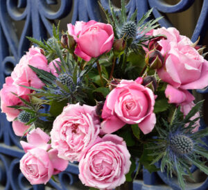 Cathedral Bells™ Rose | Calloway's Nursery