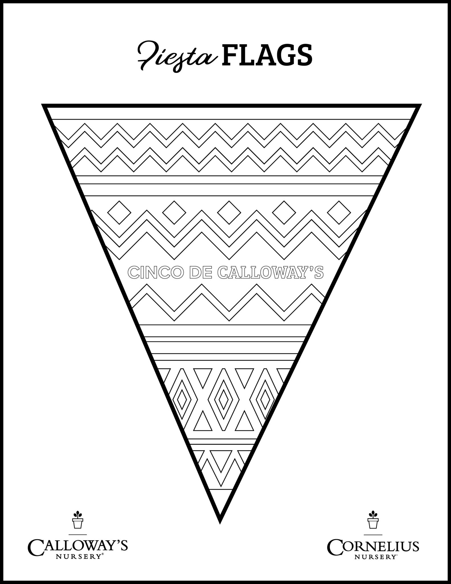 Cinco de Mayo - Celebrating with Plants | Calloway’s Nursery