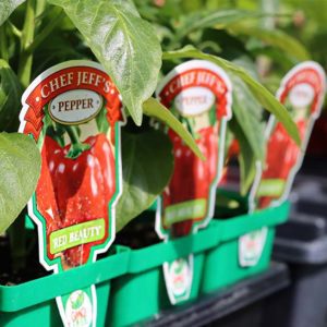 Chef Jeff's® Vegetables | Calloway's Nursery