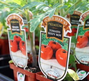 Chef Jeff's® Vegetables | Calloway's Nursery