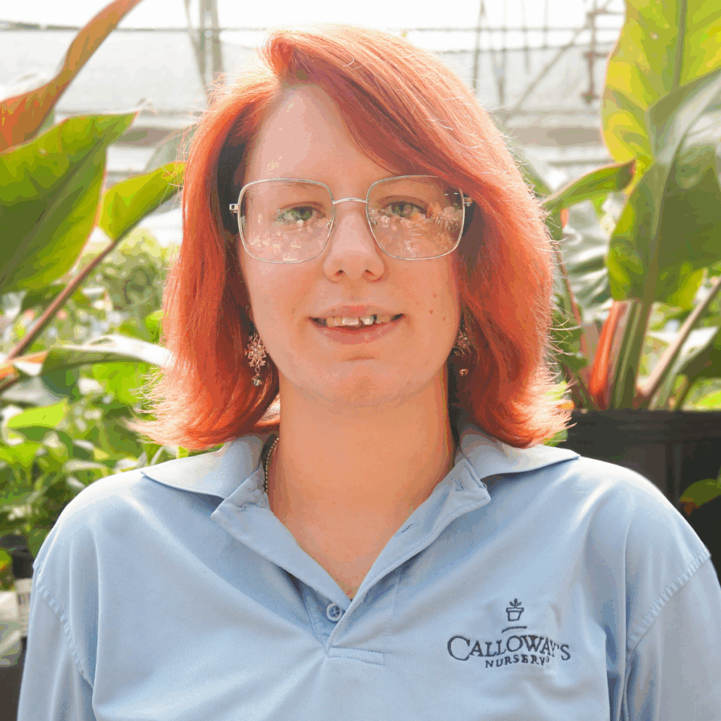 Chevy - Voss Road | Calloway's Nursery