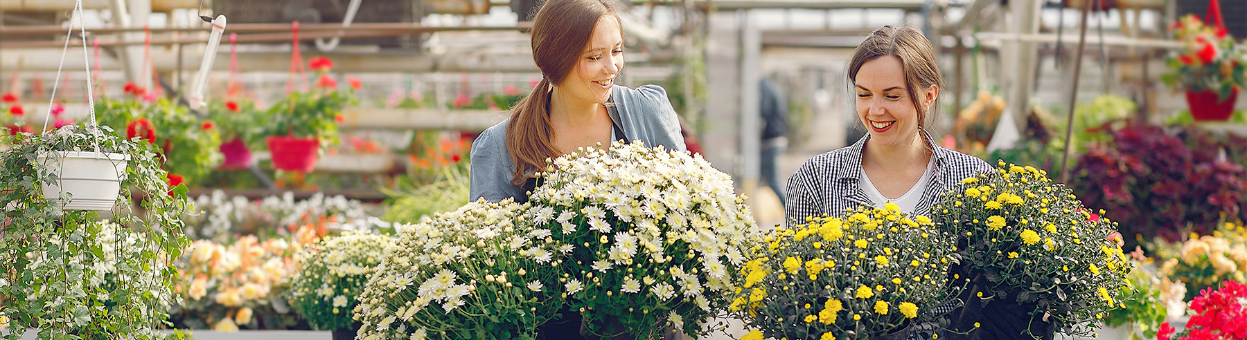 Garden Services: Delivery & Planting | Calloway's Nursery