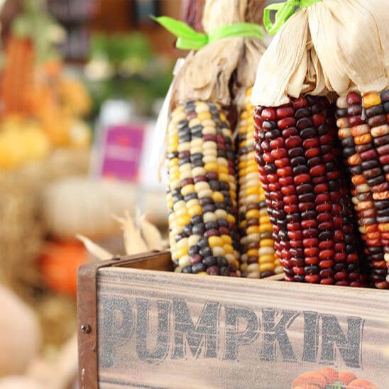 Calloway's Nursery | Dallas | Fort Worth | Texas