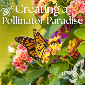 Creating a Pollinator Paradise: Tips for a Pollinator-Friendly Garden