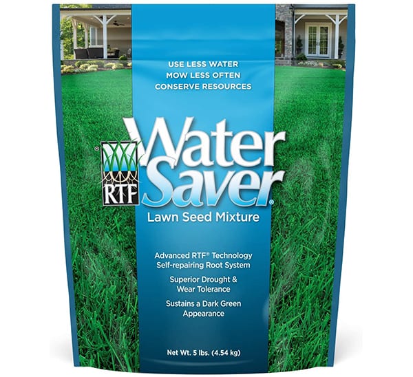 Water Saver® RTF Lawn Seed Mixture | Calloway's Nursery