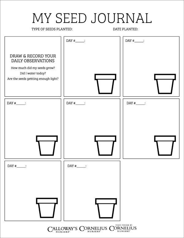 How to Plant Seeds | Calloway’s Nursery