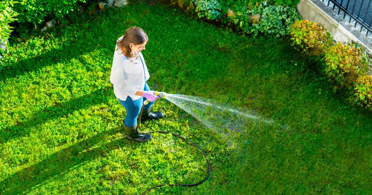 Gardening Tips - 5 Ways to Care for Your Garden in August