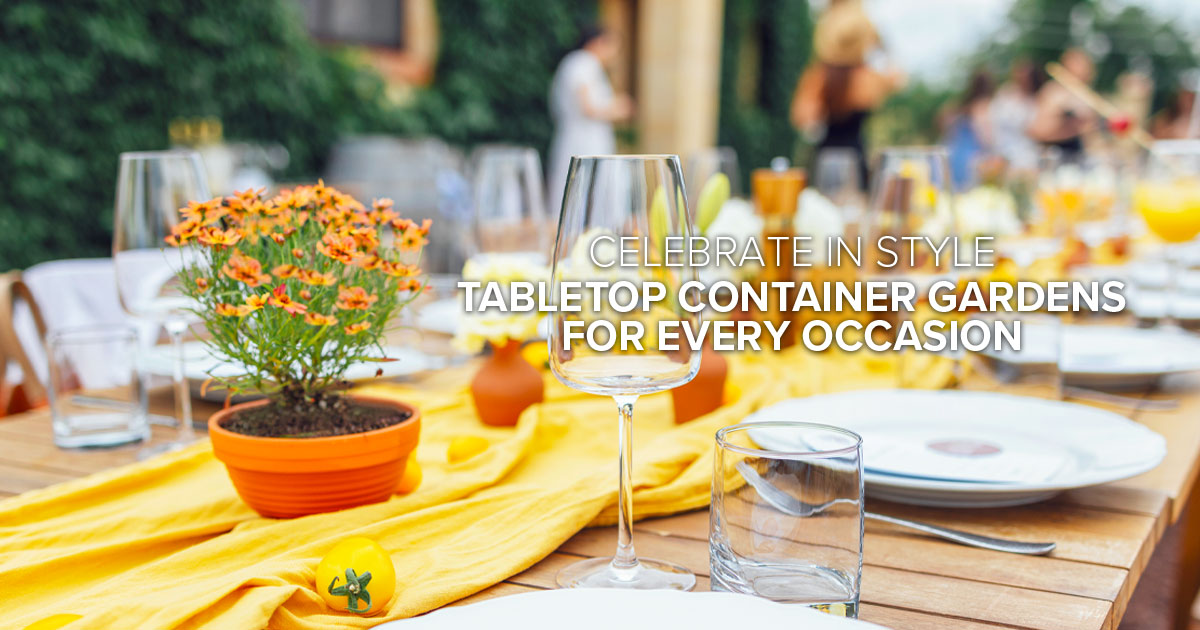 Celebrate in Style: Tabletop Container Gardens for Every Occasion