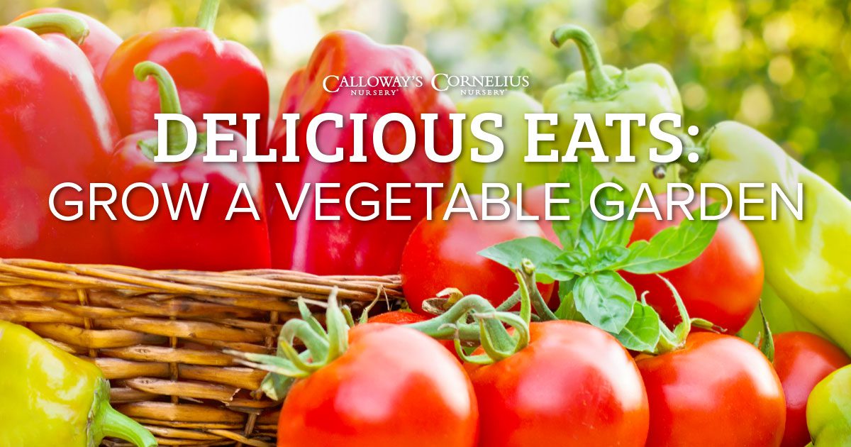 Delicious Eats: Grow a Vegetable Garden
