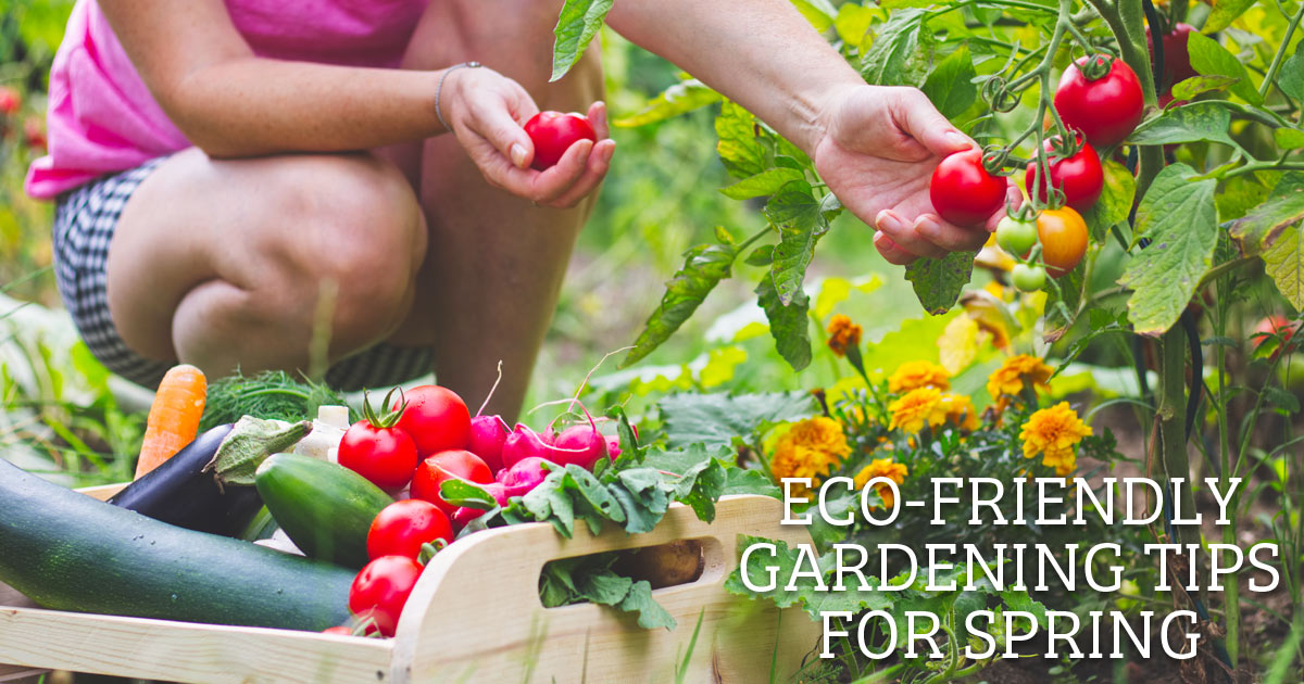 Eco-Friendly Gardening Tips for Spring | Sustainable Gardening