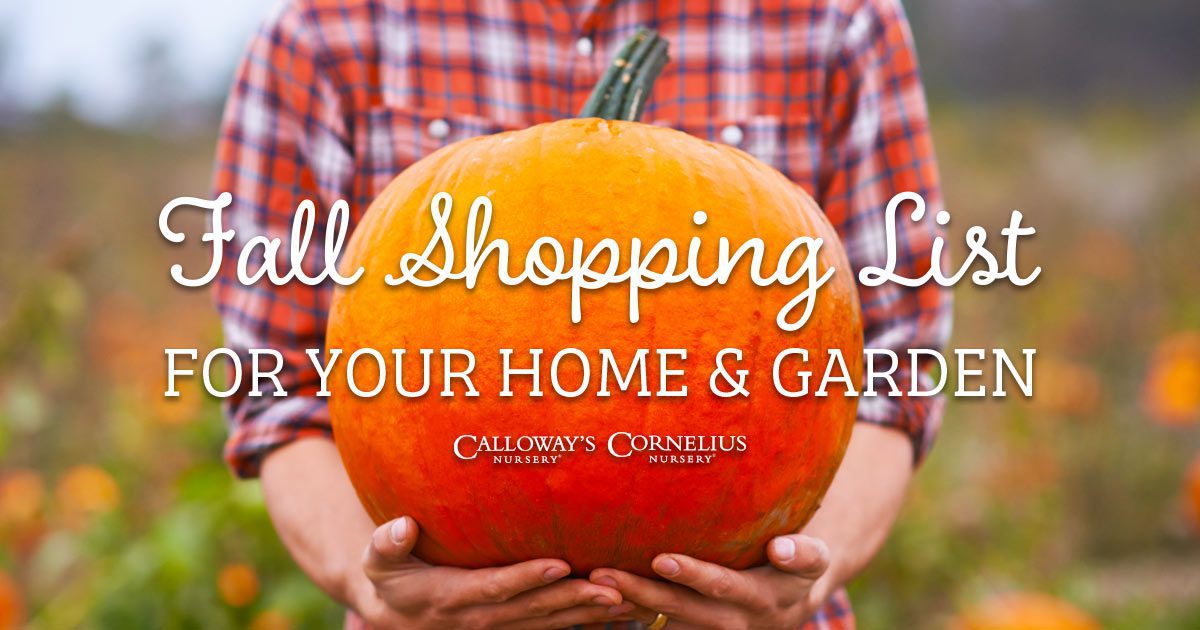 Fall Garden Checklist | Calloway’s Nursery