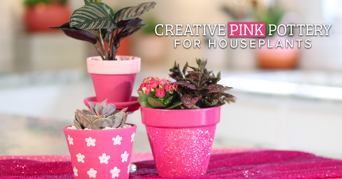Creative Pink Pottery for Houseplants | Calloway’s Nursery