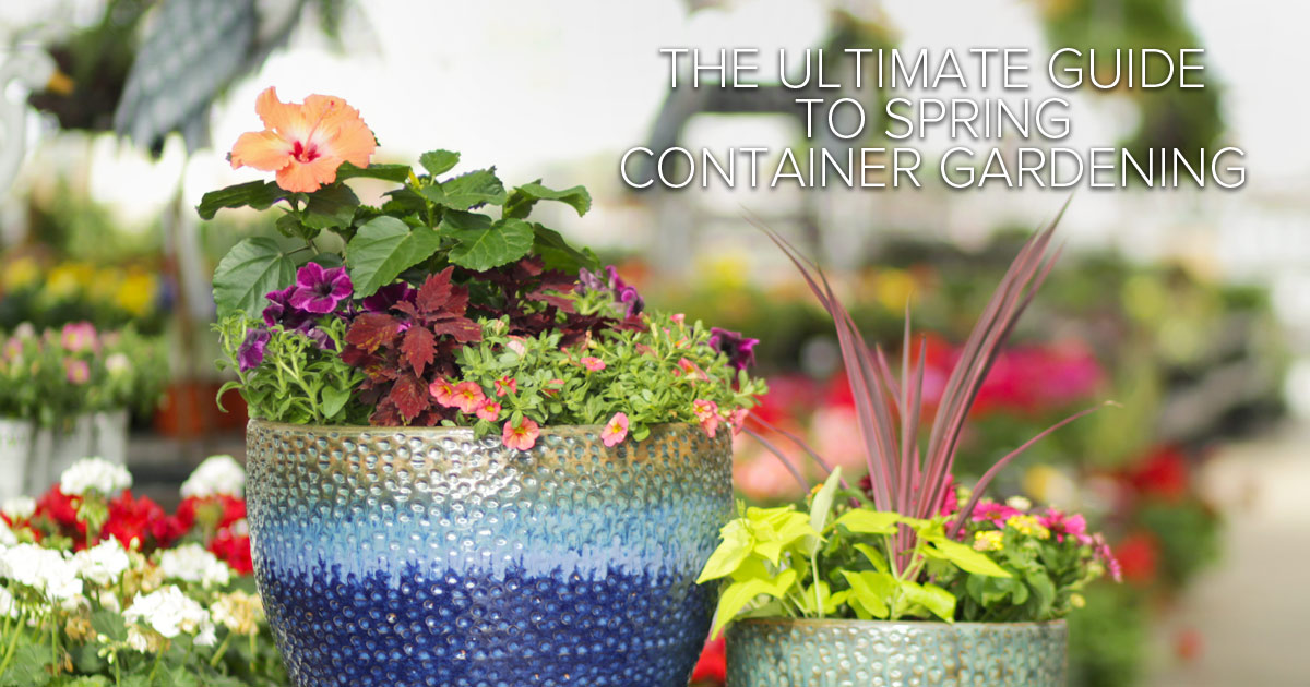 Ultimate Guide to Spring Container Gardening | Calloway’s Nursery