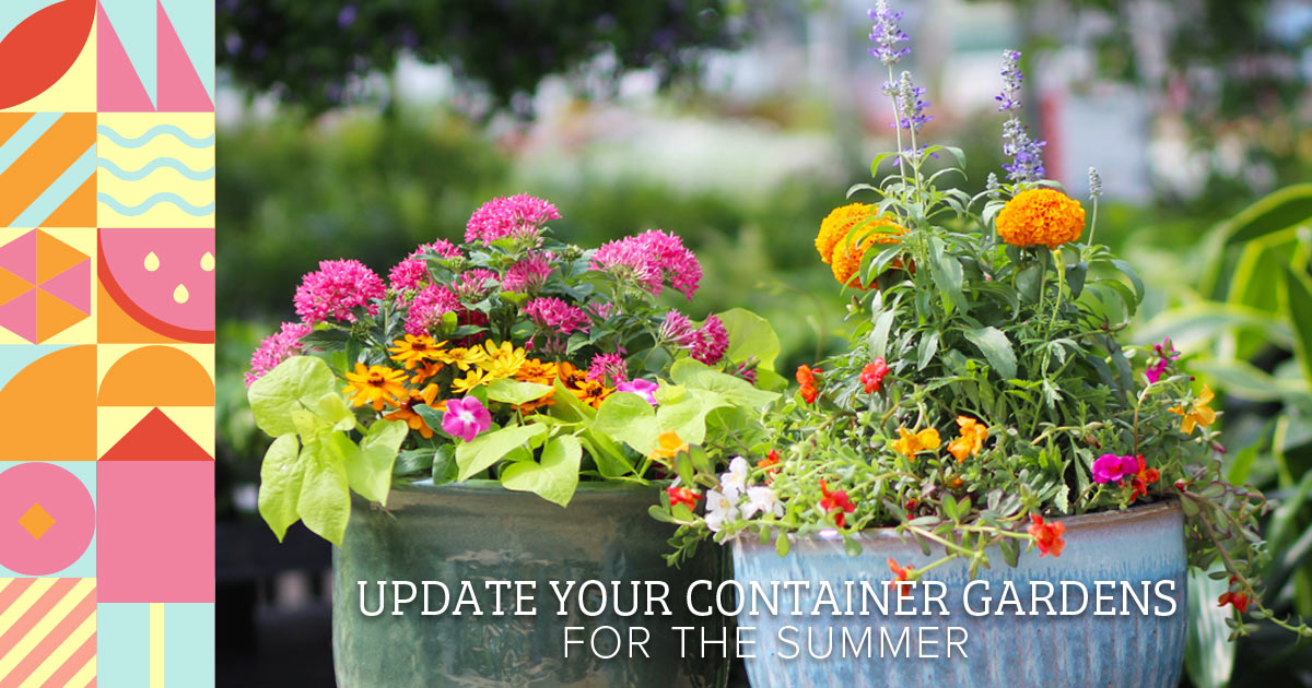 Summer Container Garden Inspiration | Calloway’s Nursery