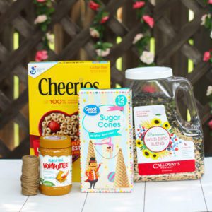 How-To Make Ice Cream Cone Bird Feeders | Calloway’s Nursery