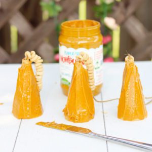 How-To Make Ice Cream Cone Bird Feeders | Calloway’s Nursery