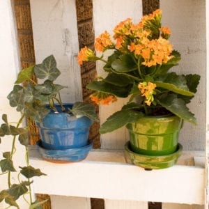 Small Space Gardening: Pallet Flower Display | Calloway’s Nursery