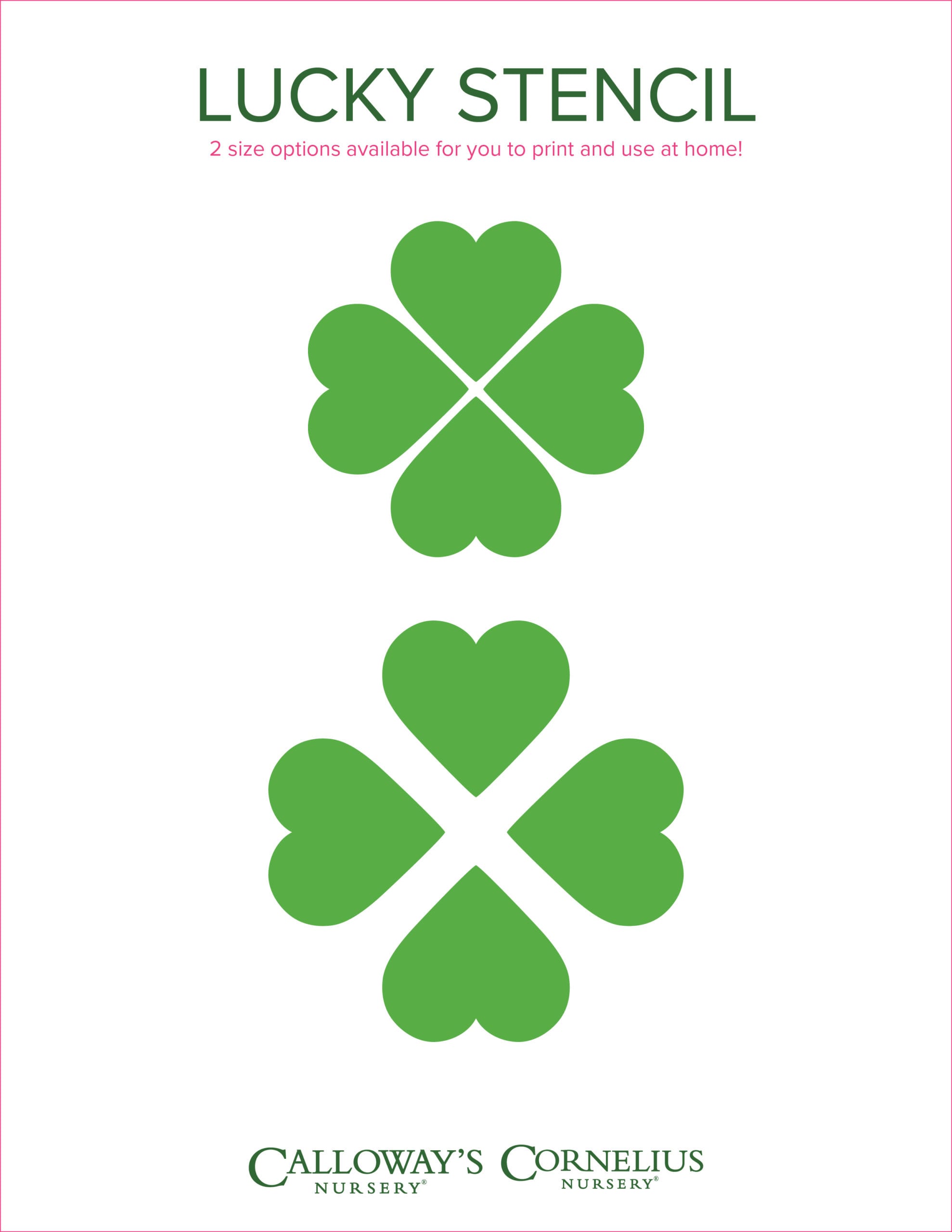 Plant for Luck: All about Shamrocks, 4 Leaf Clovers, and more ...